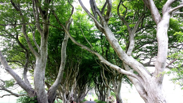 25 Photos That Will Inspire You To Book A Trip To Ireland - Where in ...