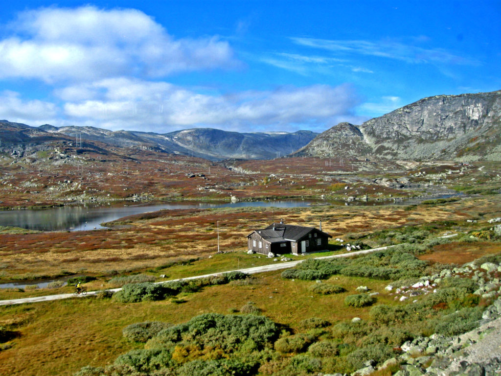Hop Aboard The Bergensbanen – Oslo To Bergen By Train - Where in the ...