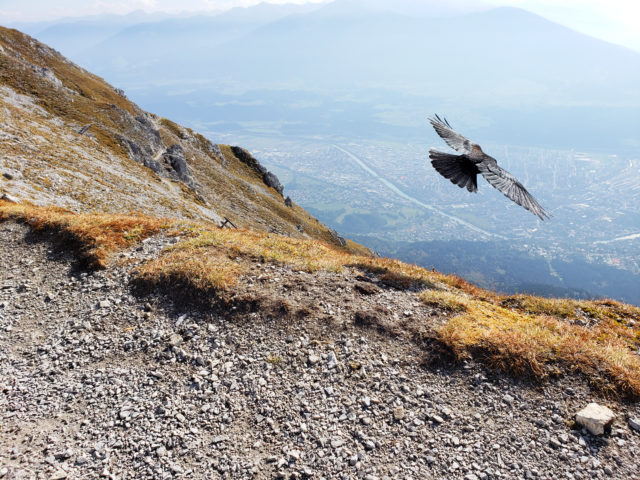 Riding The Innsbruck Cable Car – A Guide To The Nordkettenbahnen ...