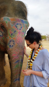 Why I Didn’t Enjoy Elephant Interactions In Jaipur - Where in the World ...