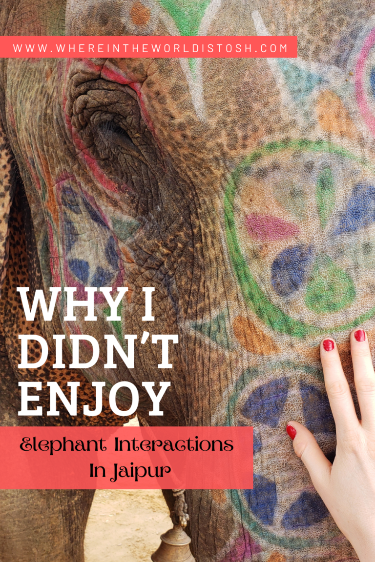 Why I Didn’t Enjoy Elephant Interactions In Jaipur - Where in the World ...