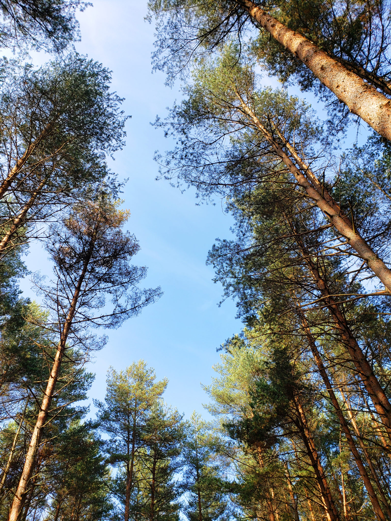 Nowy Targ, Poland – A Little Piece Of Polish Paradise - Where in the ...