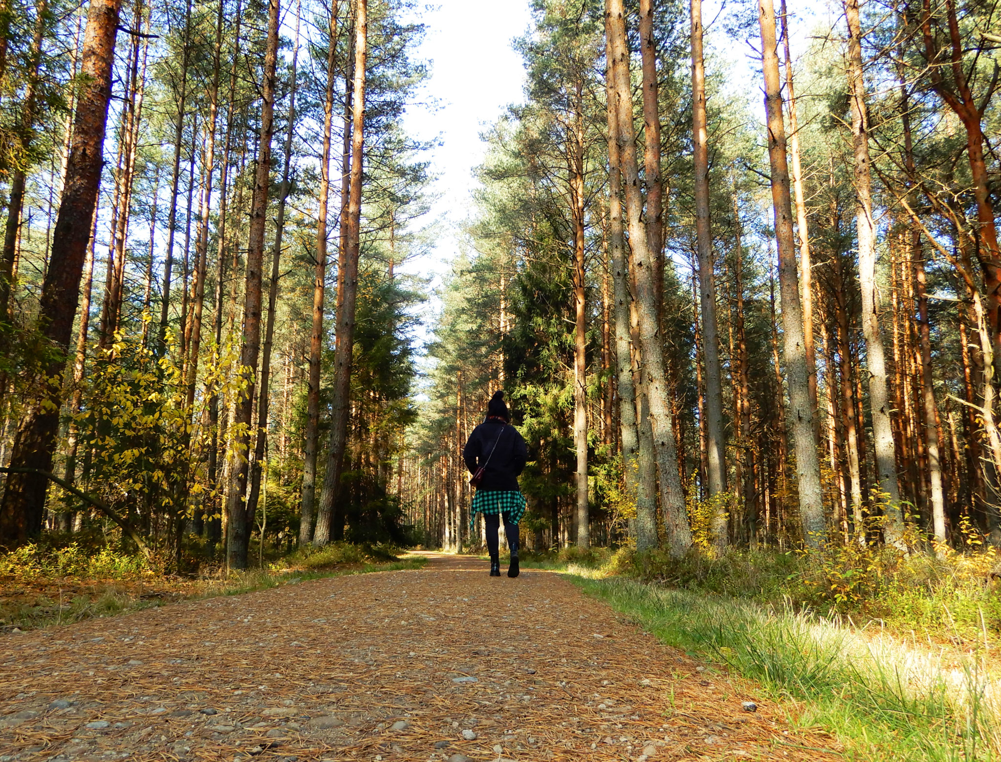 Nowy Targ, Poland – A Little Piece Of Polish Paradise - Where in the ...