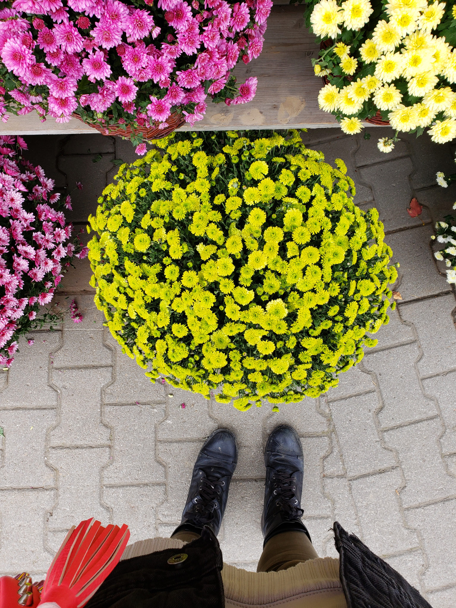 2 Days In The Quaint Mountain Village Of Poronin, Poland - Where in the ...