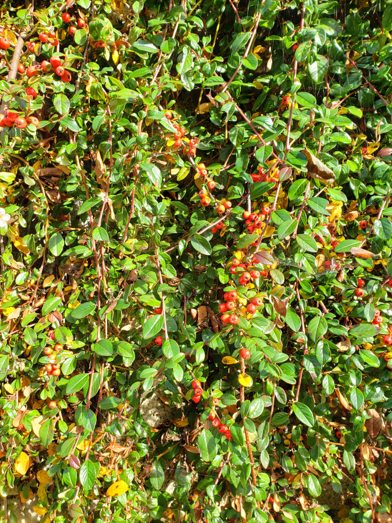 2 Days In The Quaint Mountain Village Of Poronin, Poland - Where in the ...