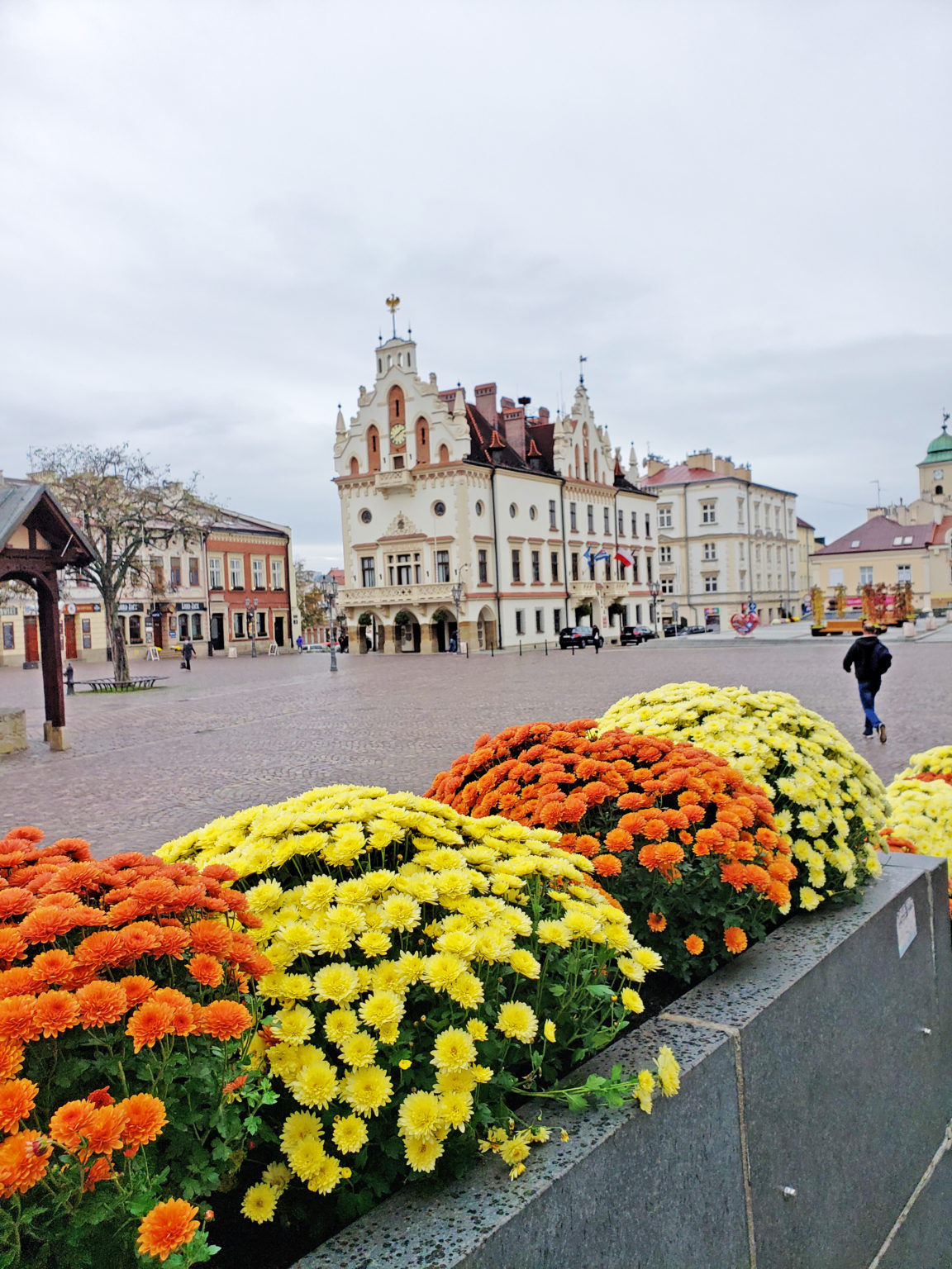 What To See & Do In A Day In Rzeszów, Poland - Where in the World is Tosh