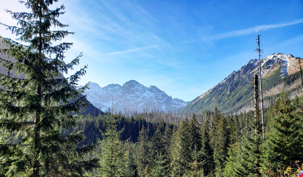 Places In Poland To Visit For Nature Lovers - Where in the World is Tosh