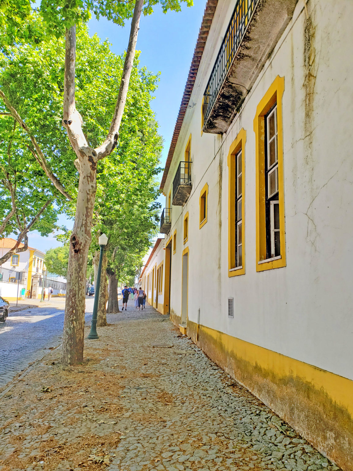 Évora – The Perfect Day Trip From Lisbon - Where in the World is Tosh